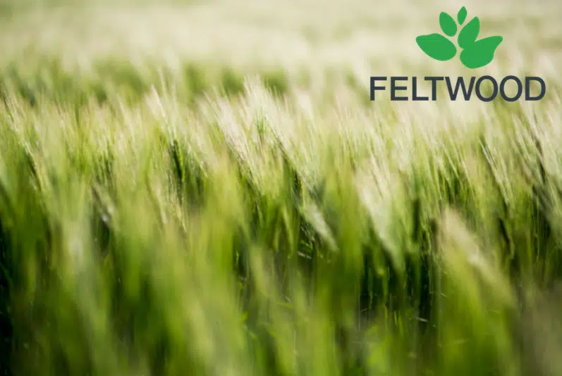 European Family Office invests in Feltwood | Press release